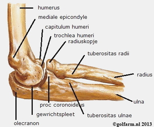Cubitaal tunnelsyndroom - Golfarm